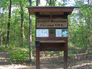 Driskill Mountain Discover Louisiana S Peaceful High Point
